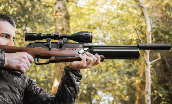 Webley Raider 12 – Webley & Scott