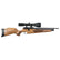 Raider Classic – Webley & Scott
